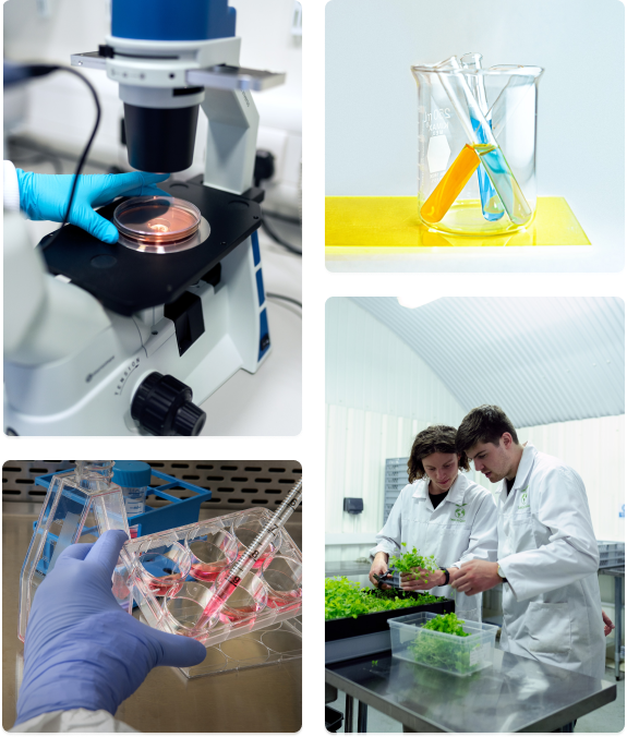 Universitas Halim Mubarak